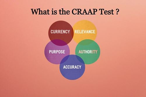 When was The Craap Test Invented?